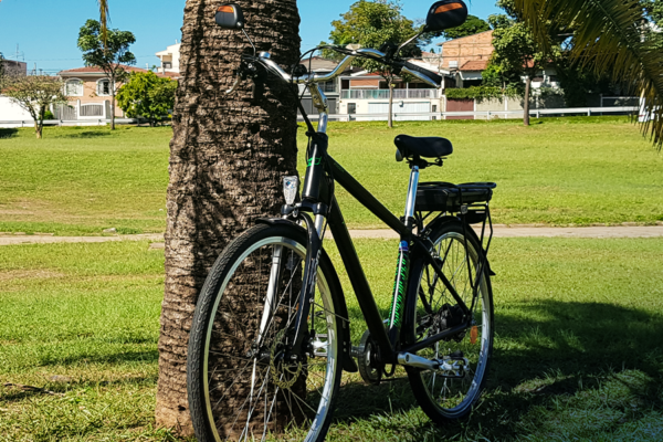 O Futuro Da Bicicleta Elétrica Pedalla Bikes Bicicletas Elétricas